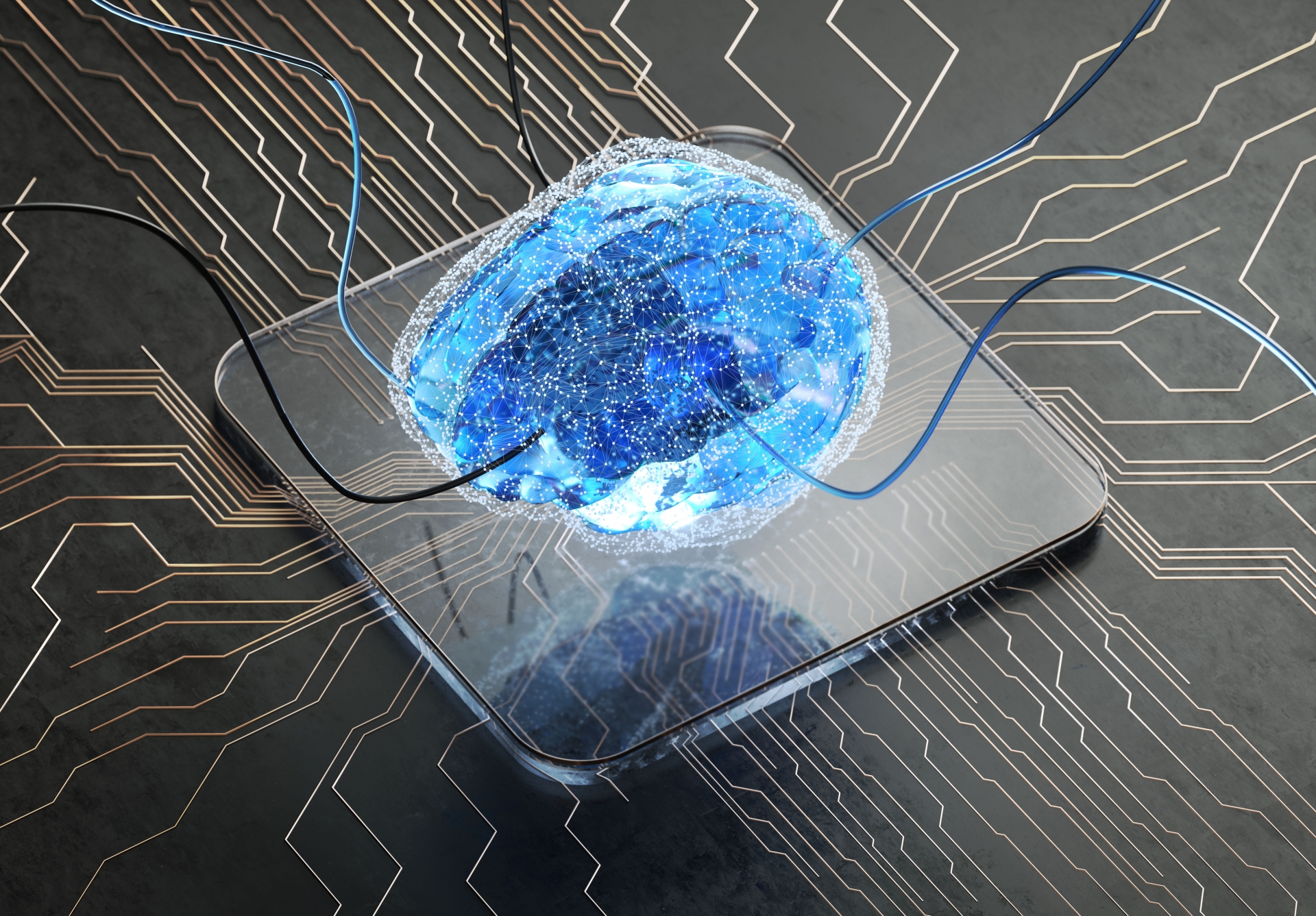 Meta、UNESCOと協力し、AI翻訳技術を強化する新プログラムを開始 | Reinforz.ai